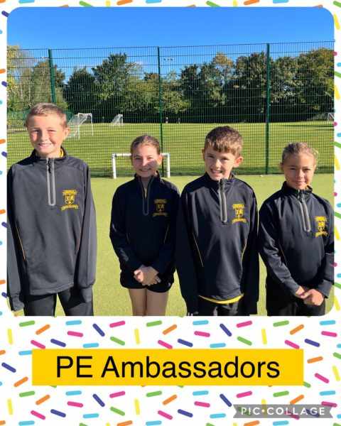 Year 6|Childwall C of E Primary School