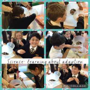 Year 6|Childwall C of E Primary School